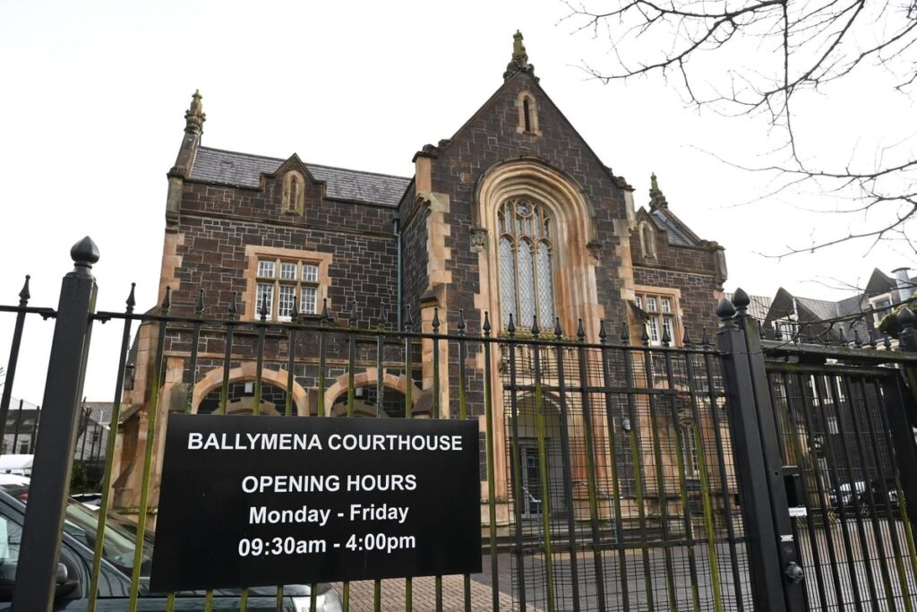 Man Fails to Meet Probation After Claims of Cat Incident - THEUKHERALD